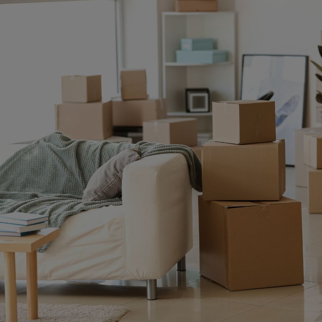 Furniture Set-up and Relocation – Pedigree Home Services